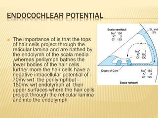 Physiology of hearing ppt | PPTX