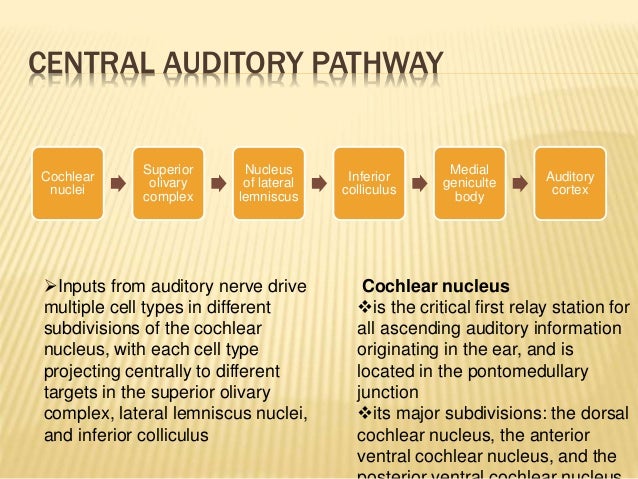 Physiology of hearing ppt