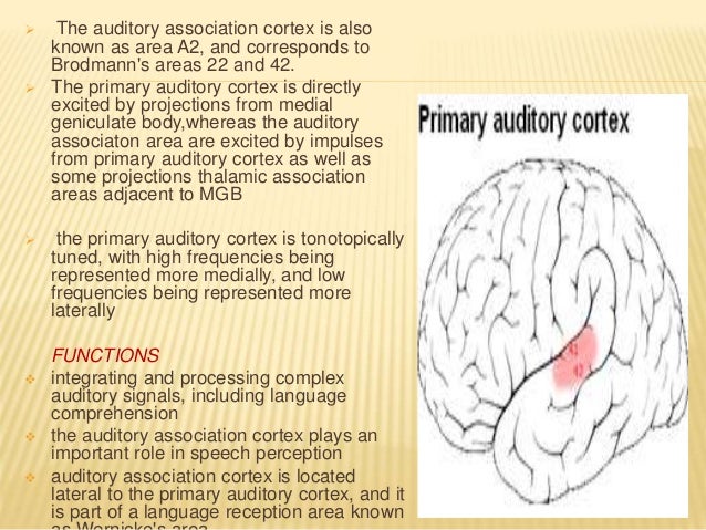 Physiology of hearing ppt
