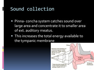 Physiology of hearing | PPTX