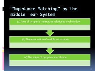 Physiology of hearing | PPTX