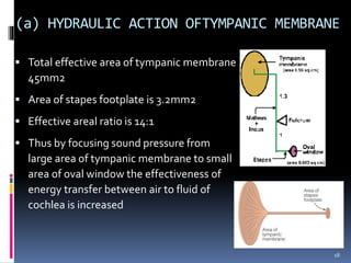 Physiology of hearing | PPTX