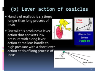 Physiology of hearing | PPTX