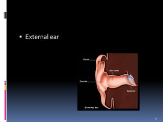 Physiology of hearing | PPTX