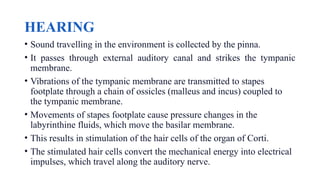 PHYSIOLOGY OF HEARING,VISION,gTASTE.pptx