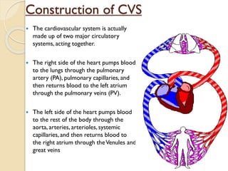 Physiologyofheart 140406090507-phpapp01 | PPT