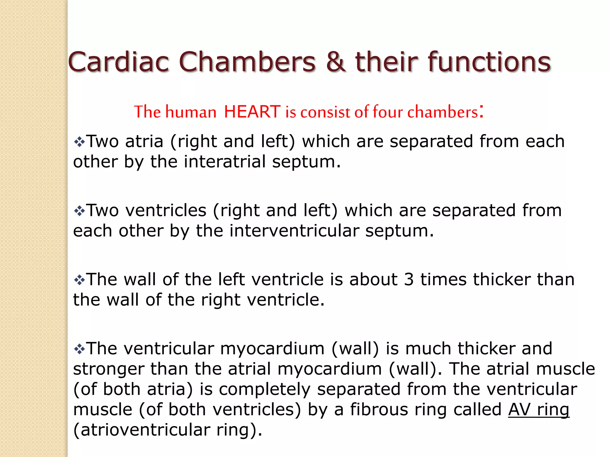 the cardiovascular system and Physiology of heart | PPTX