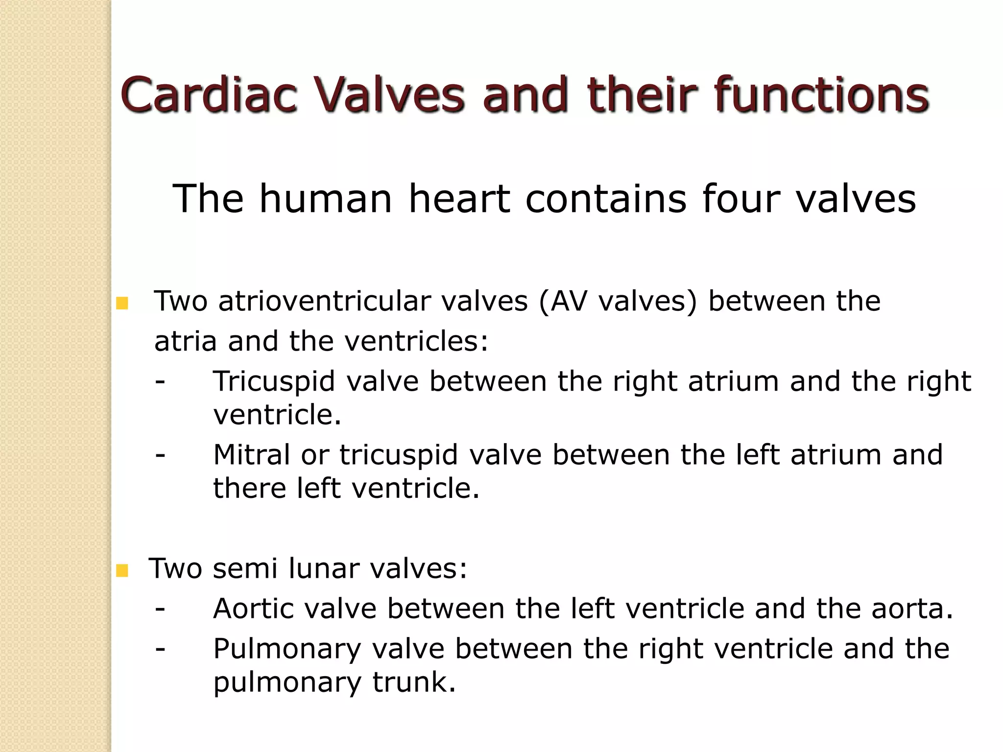 the cardiovascular system and Physiology of heart | PPTX