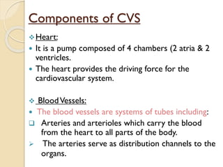 the cardiovascular system and Physiology of heart | PPTX