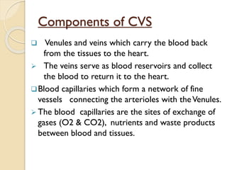 the cardiovascular system and Physiology of heart | PPTX
