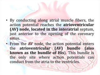 physiologyofheart-181202084458.pdf