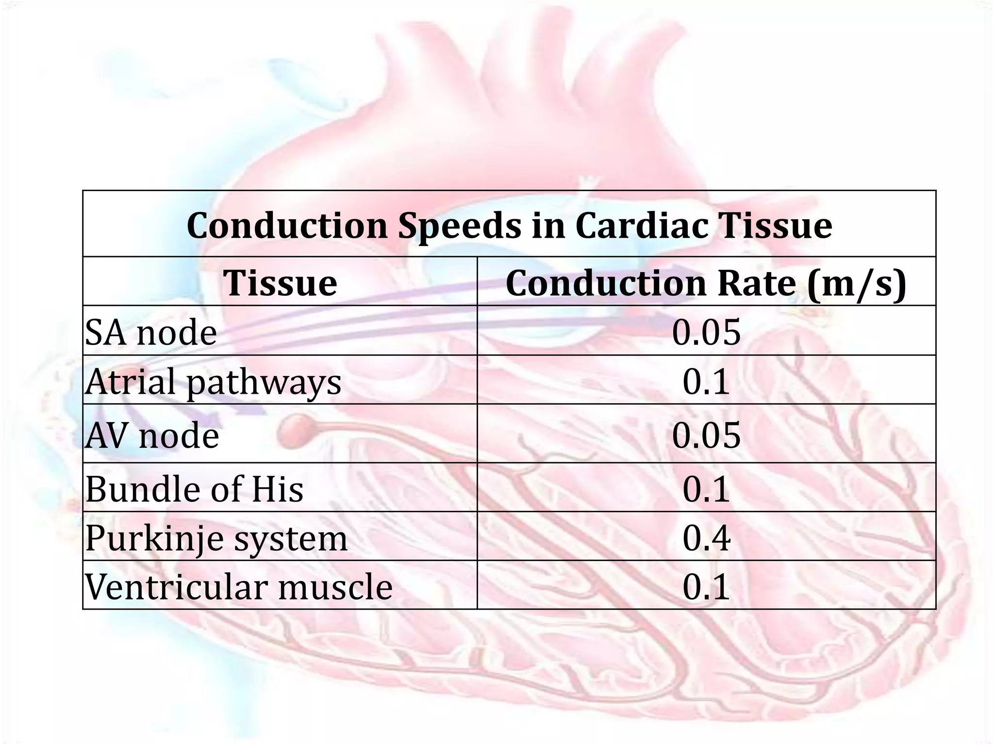 Physiology of heart | PPSX