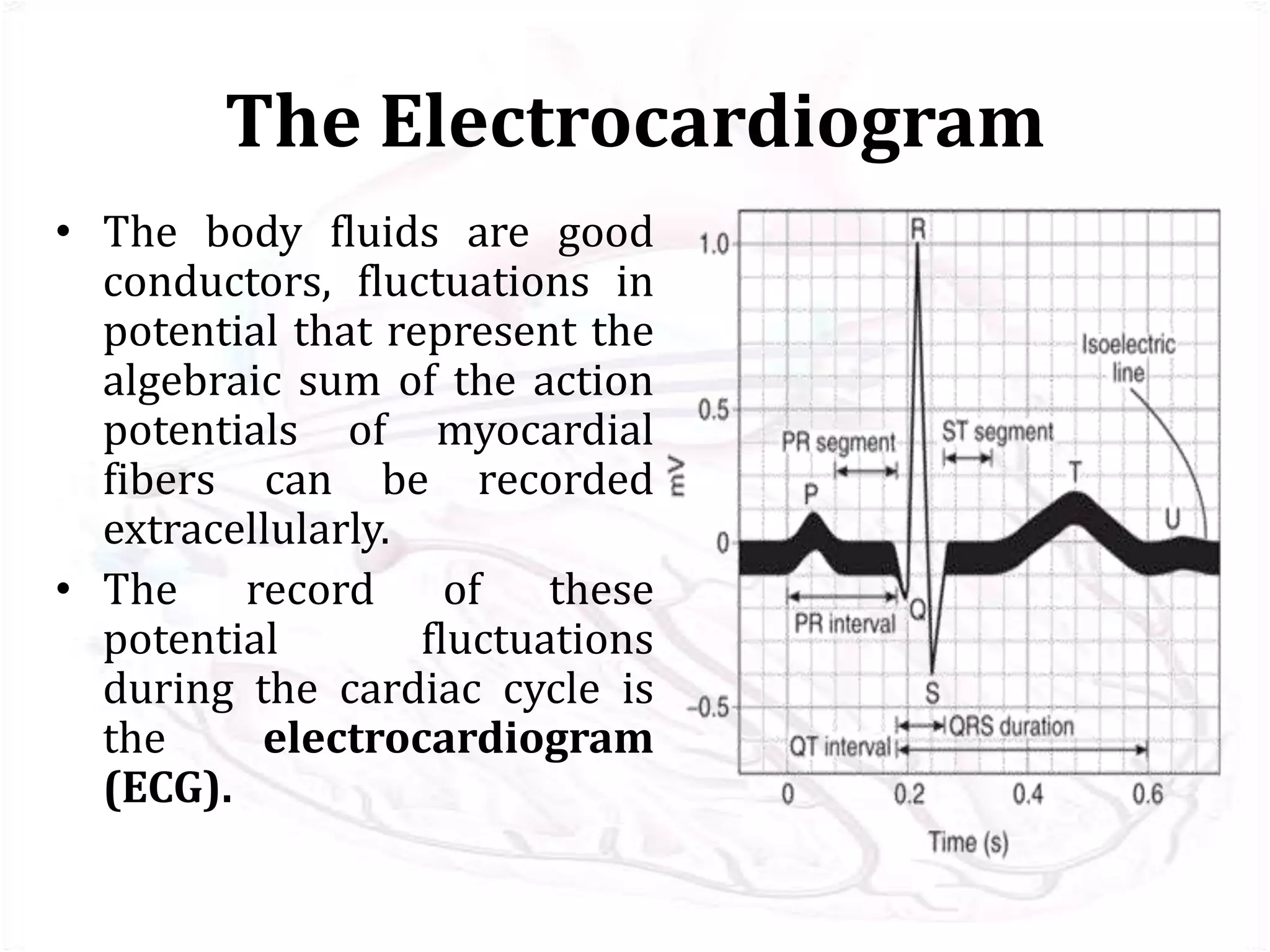 Physiology of heart | PPSX