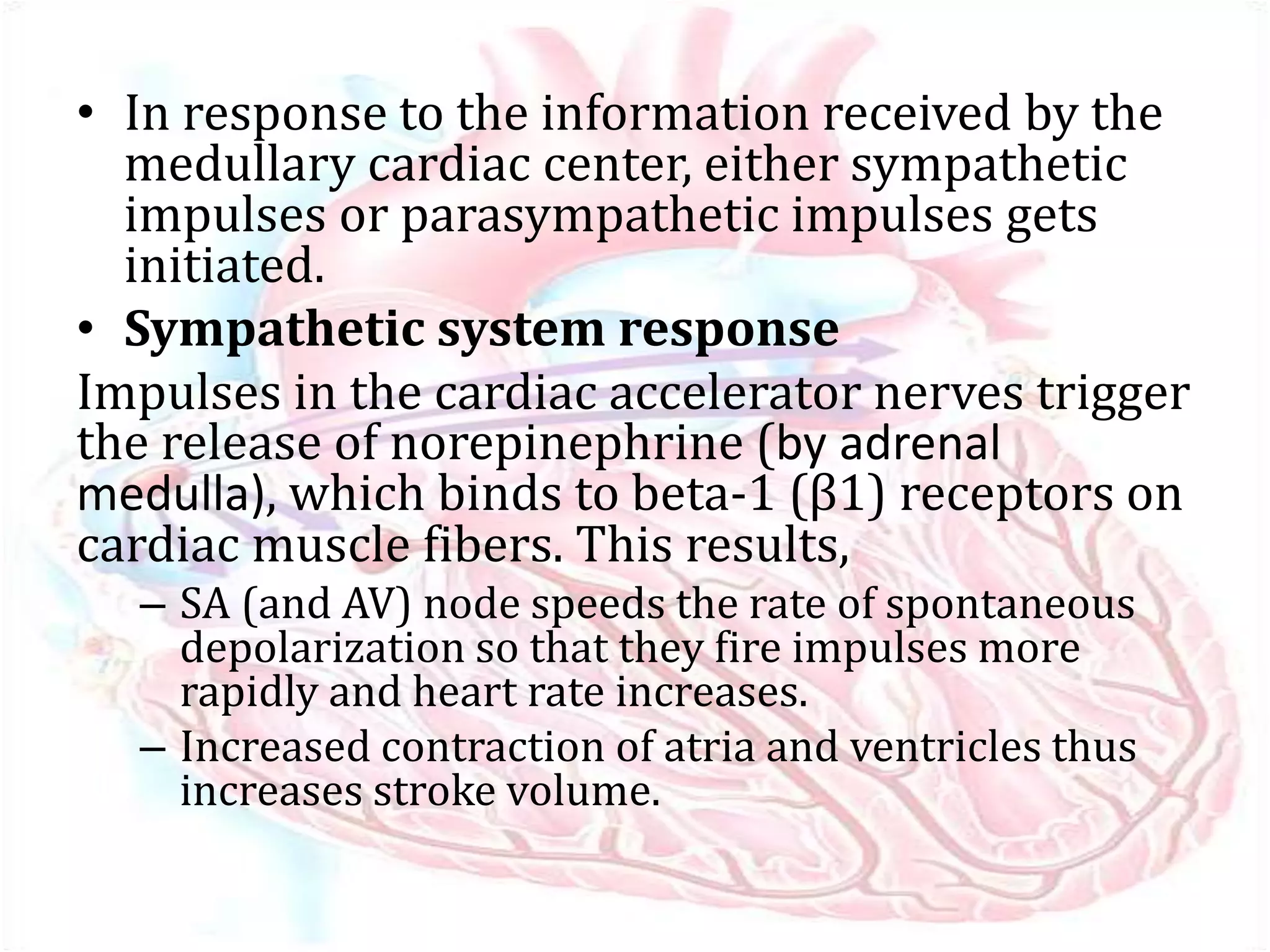Physiology of heart | PPSX