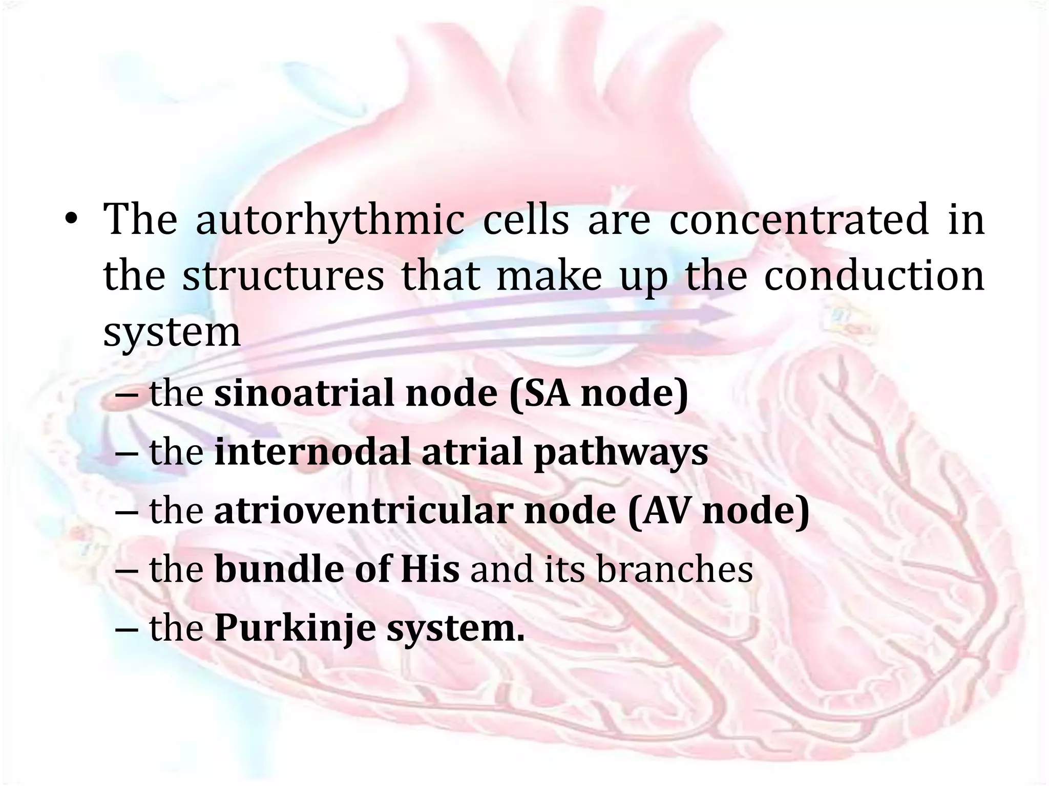 Physiology of heart | PPSX
