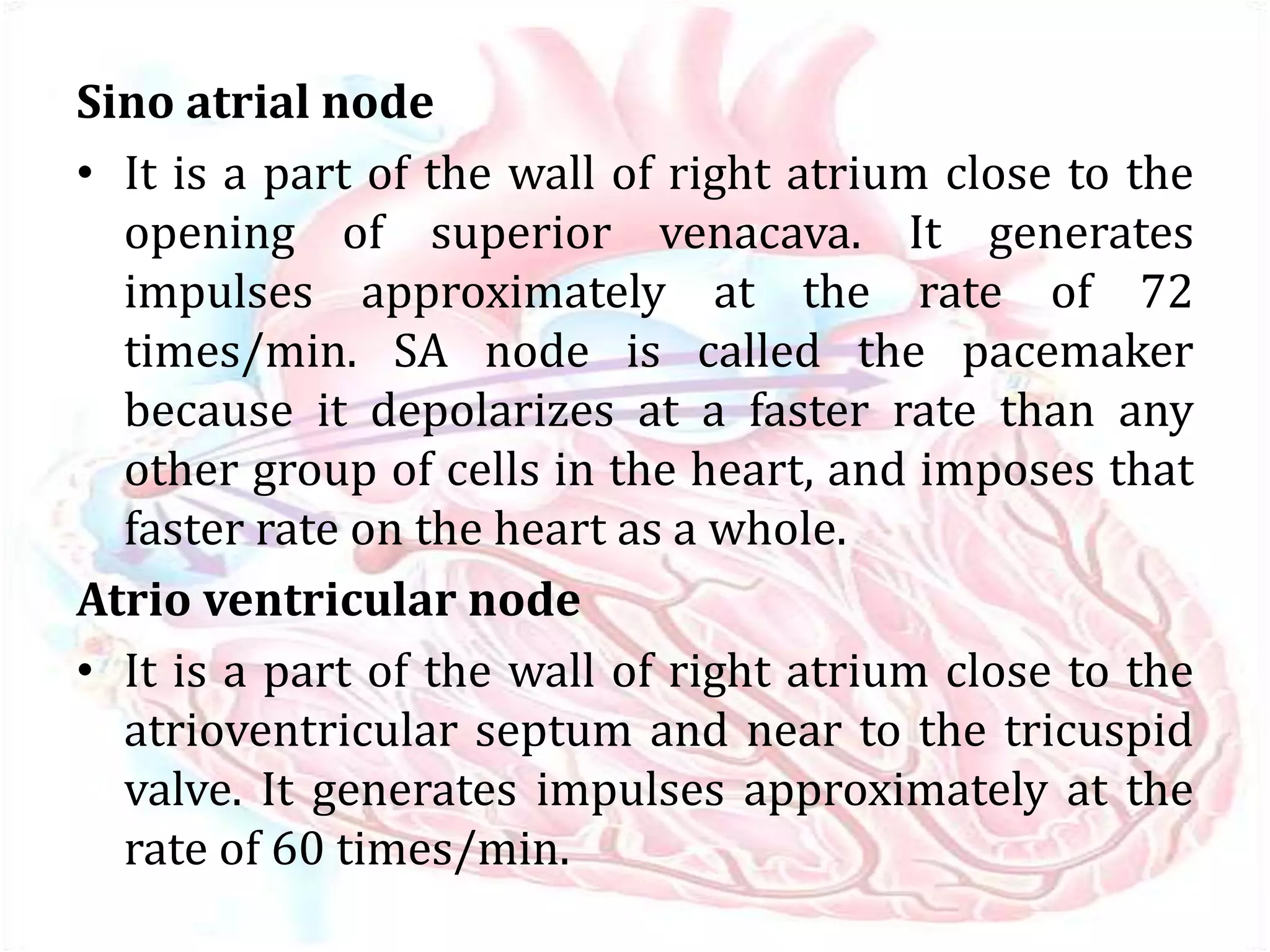 Physiology of heart | PPSX