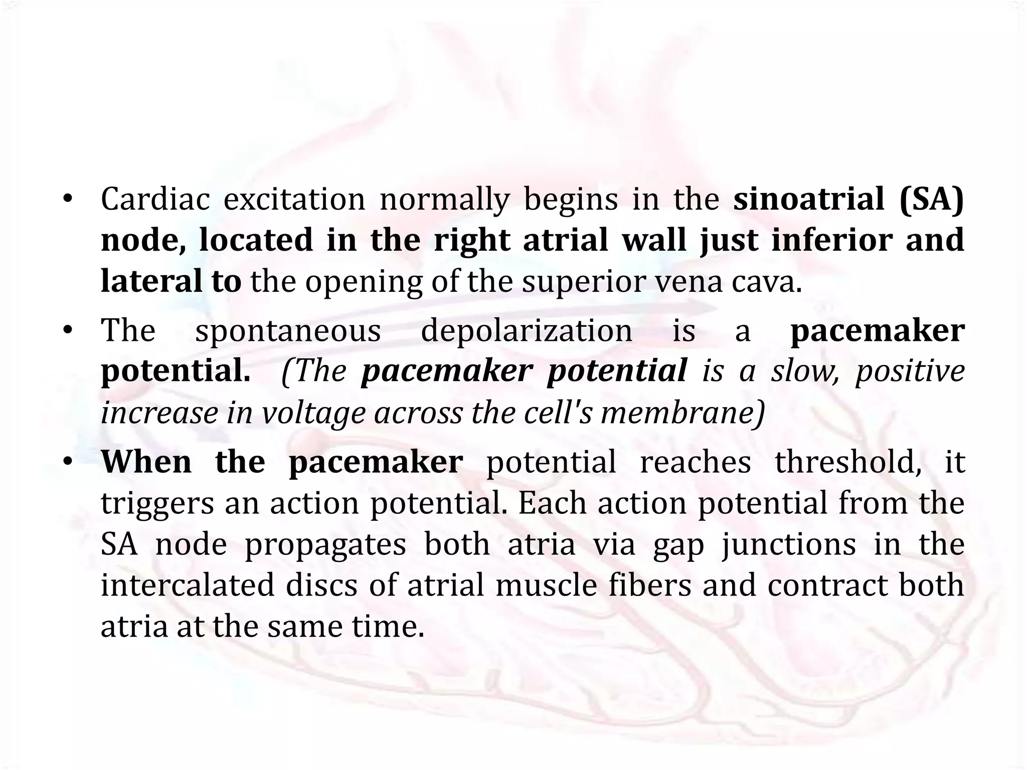 Physiology of heart | PPSX