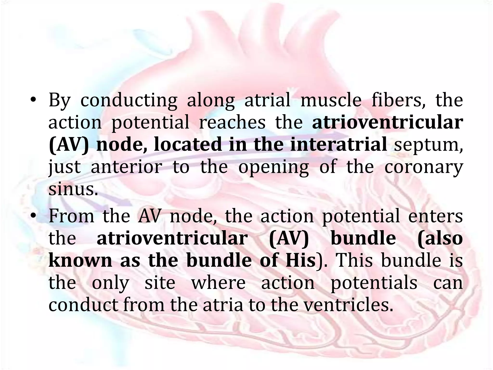 Physiology of heart | PPSX