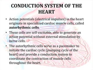 Physiology of heart | PPSX