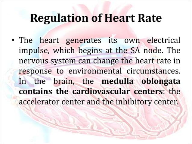 Physiology of heart | PPSX