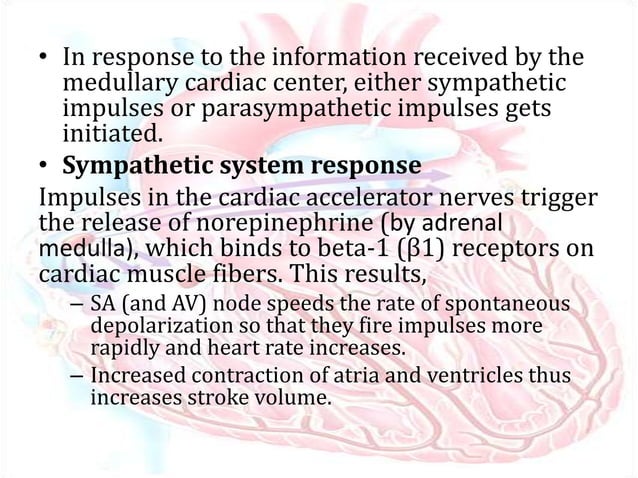 Physiology of heart | PPSX