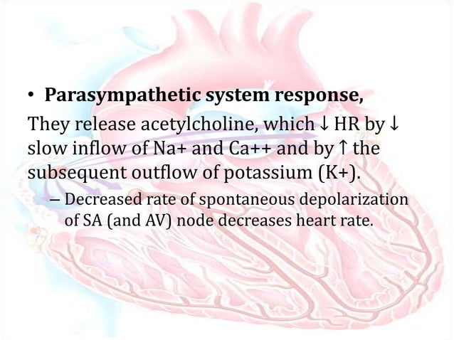 Physiology of heart | PPSX