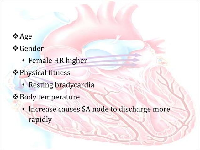 Physiology of heart | PPSX