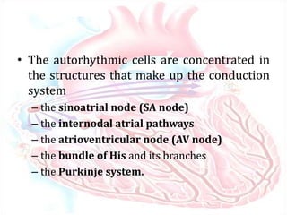 Physiology of heart | PPSX