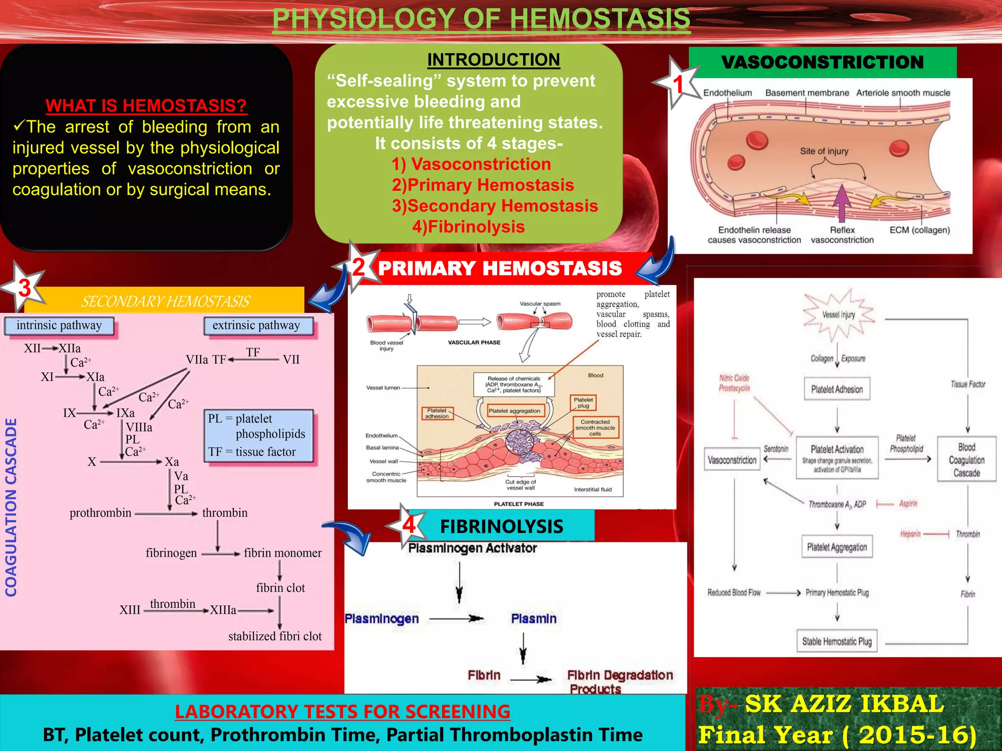 Physiology of hemostasis- Poster | PPTX
