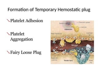 Physiology_Of_Hemostasis_Dfinalhkpaa.pptx