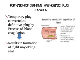 Physiology_Of_Hemostasis_Dfinalhkpaa.pptx