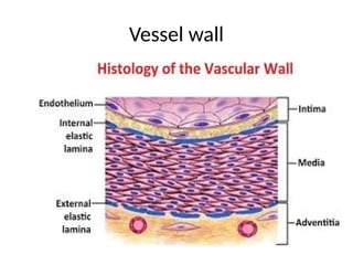 Physiology_Of_Hemostasis_Dfinalhkpaa.pptx