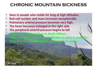 PHYSIOLOGY OF HIGH ALTITUDE.........pptx
