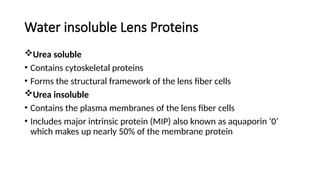 Physiology of Human Crystalline Lens _ppt | PPTX