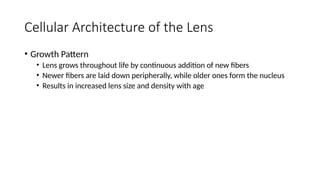 Physiology of Human Crystalline Lens _ppt | PPTX