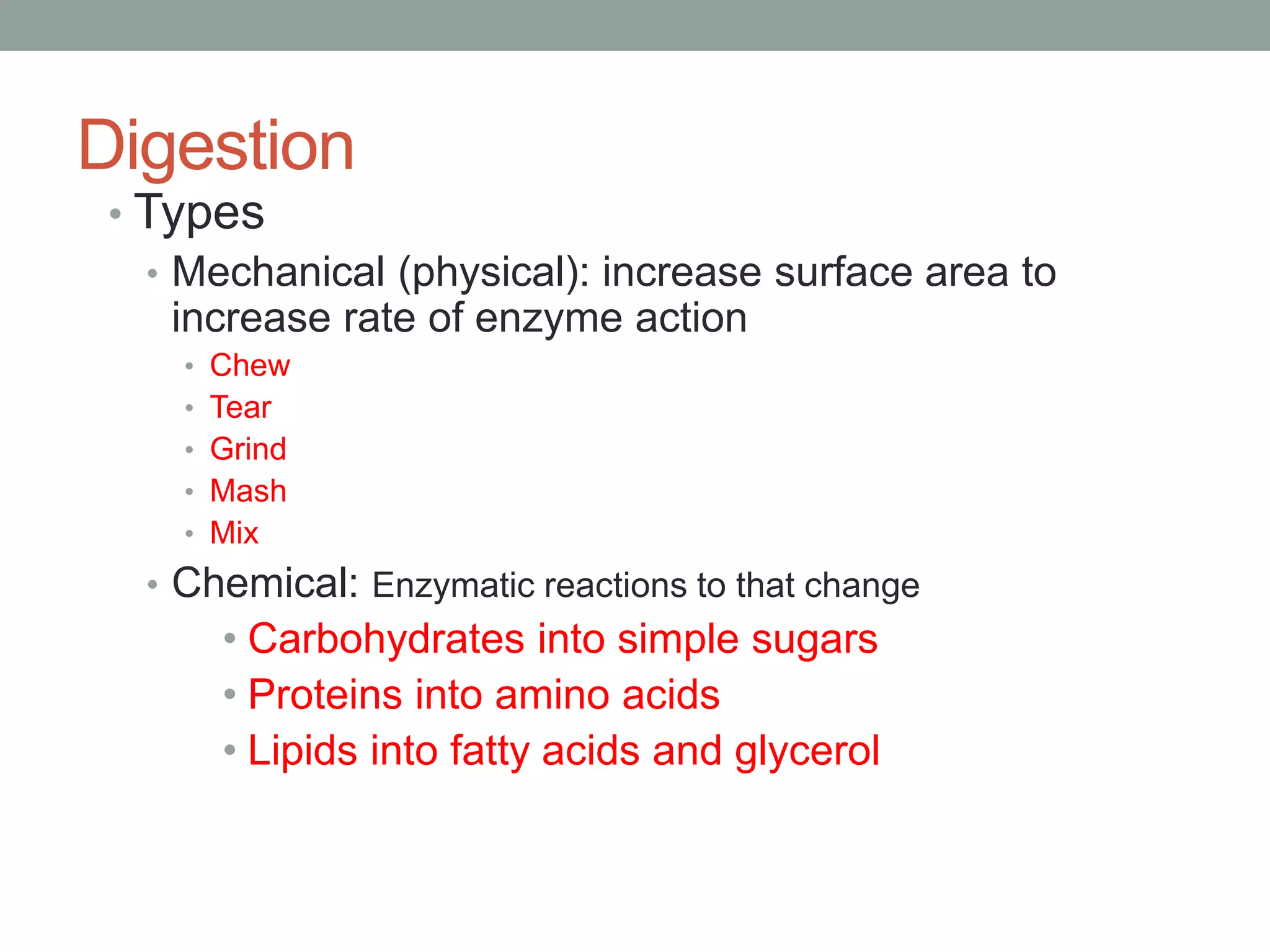 Physiology of human digestive system | PPTX