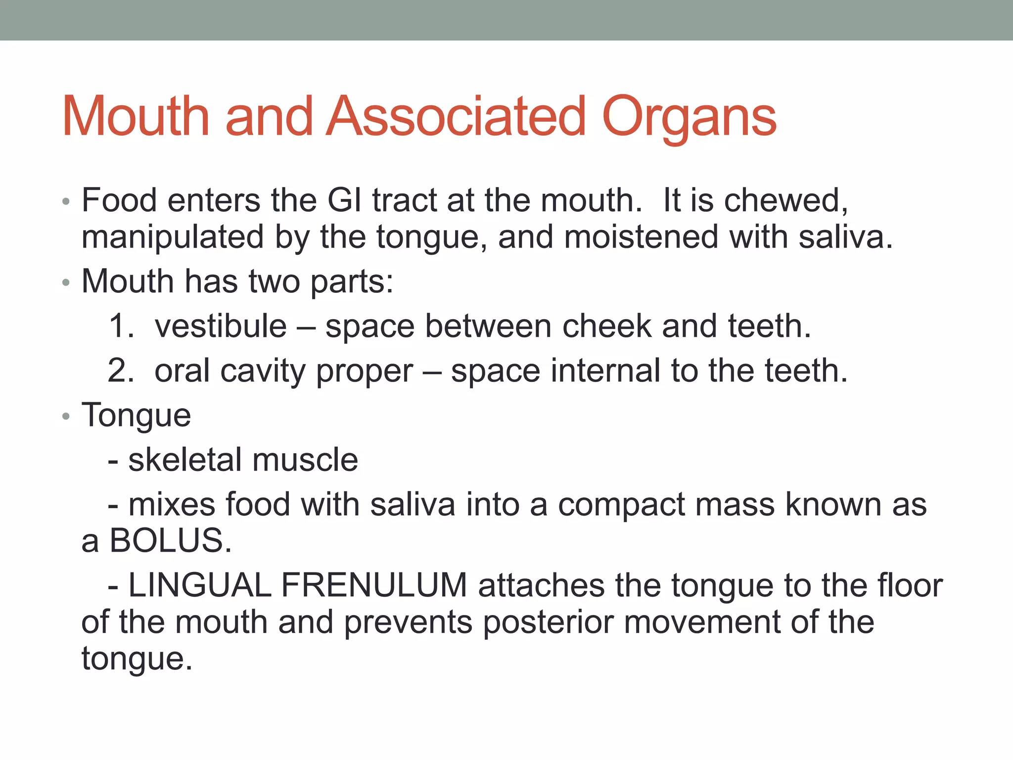 Physiology of human digestive system | PPTX