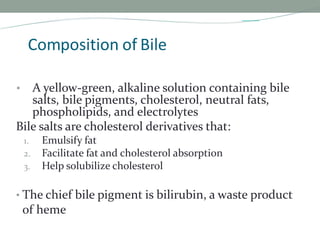 Physiology of human digestive system | PPTX
