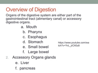 Physiology of human digestive system | PPTX