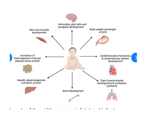 Physiology of infants and their body. | PPTX