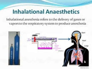 Physiology of inhalational anaesthetic agents | PPTX