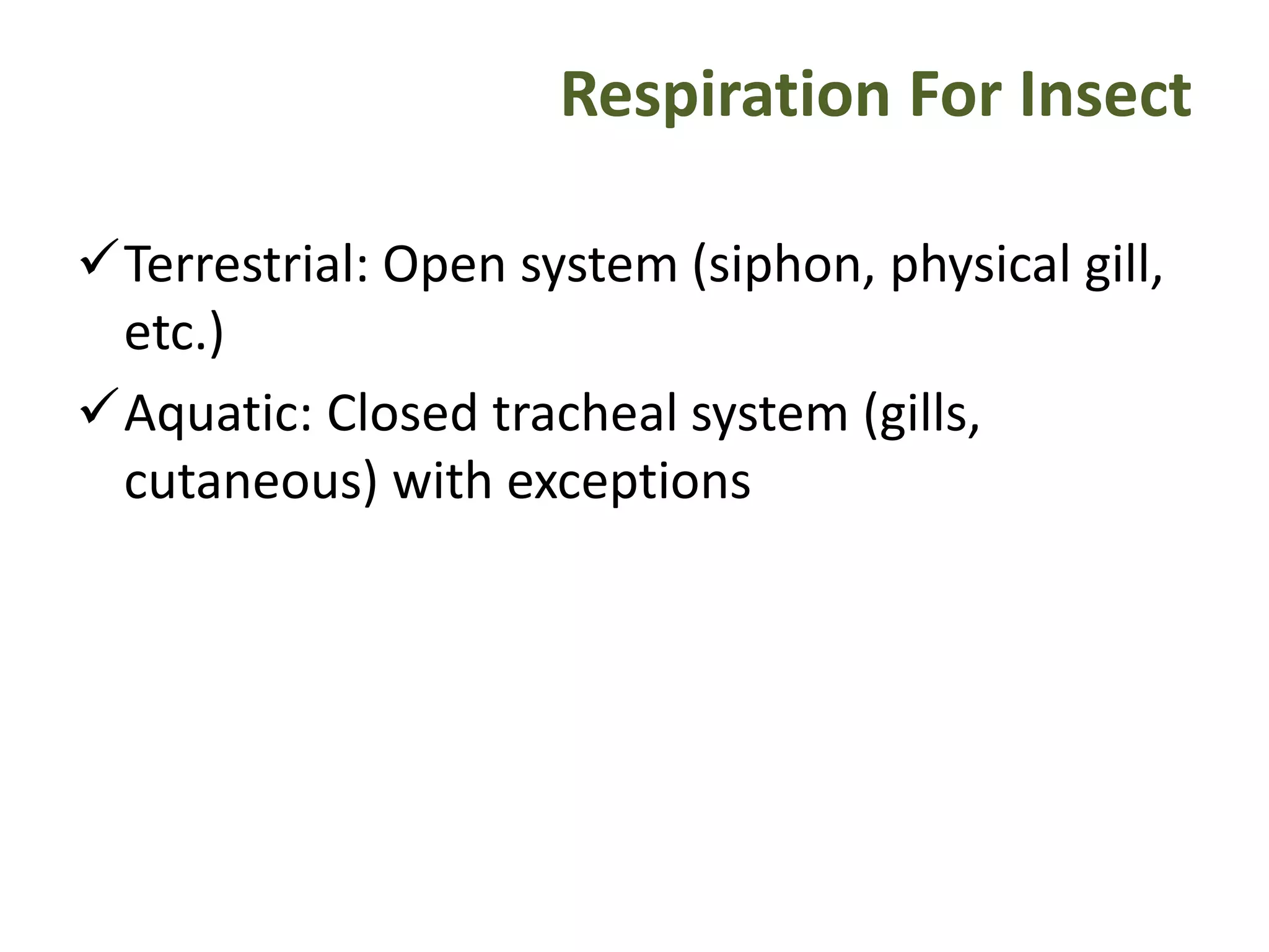 Physiology of insect respiration | PPTX