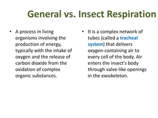 Physiology of insect respiration | PPTX