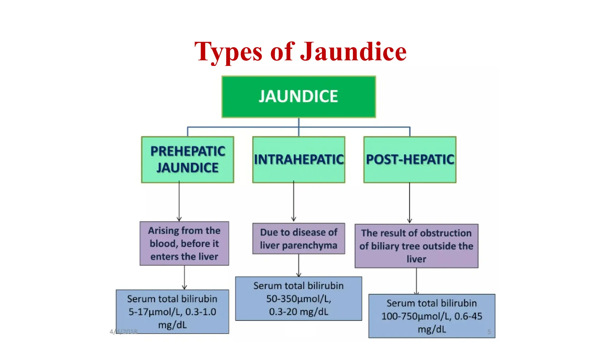 Physiology of Jaundice for Medical Students .pptx