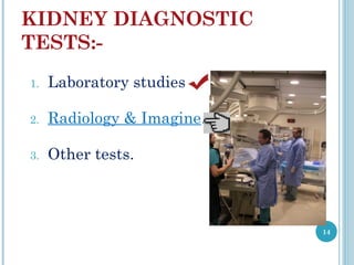 Physiology of kidney | PPT