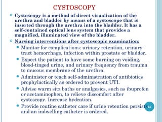 Physiology of kidney | PPT