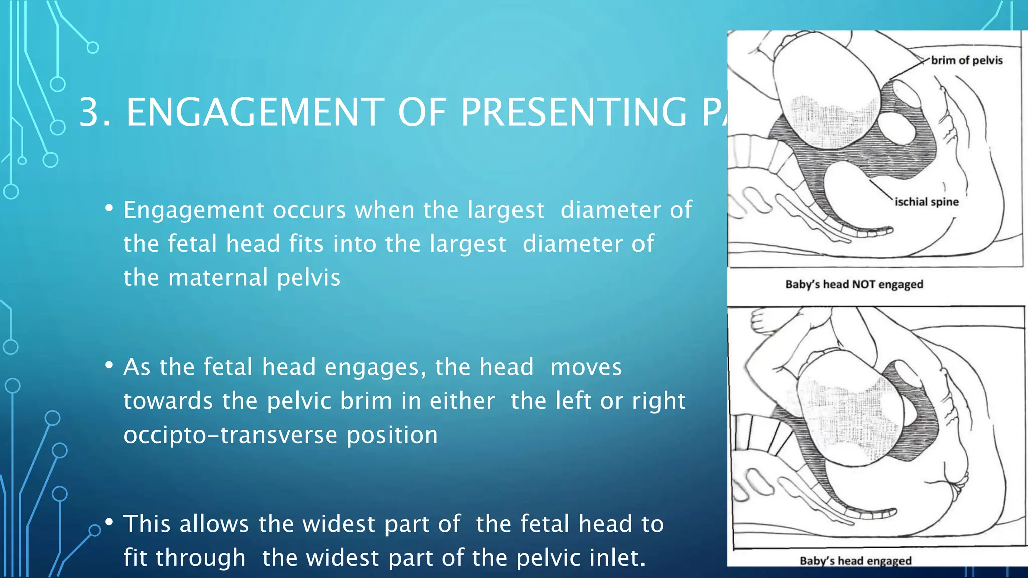 The physiology of labour in obstetrics and gynecology | PPTX