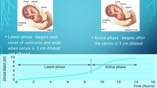 The physiology of labour in obstetrics and gynecology | PPTX