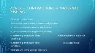 The physiology of labour in obstetrics and gynecology | PPTX