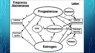 The physiology of labour in obstetrics and gynecology | PPTX